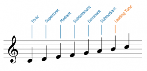 Understanding Scale Degrees: The Building Blocks of Musical Scales ...